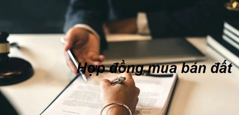 Tải xuống mẫu hợp đồng mua bán đất đơn giản